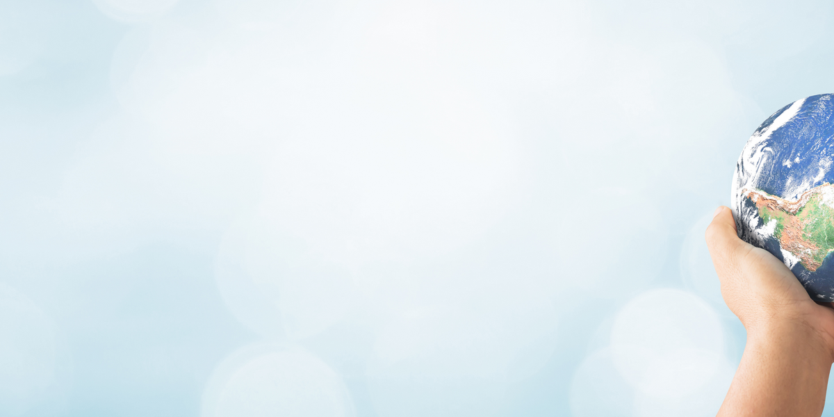 Accountability — Rehab Ninja