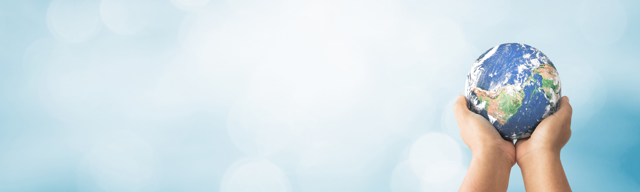 Accountability — Rehab Ninja