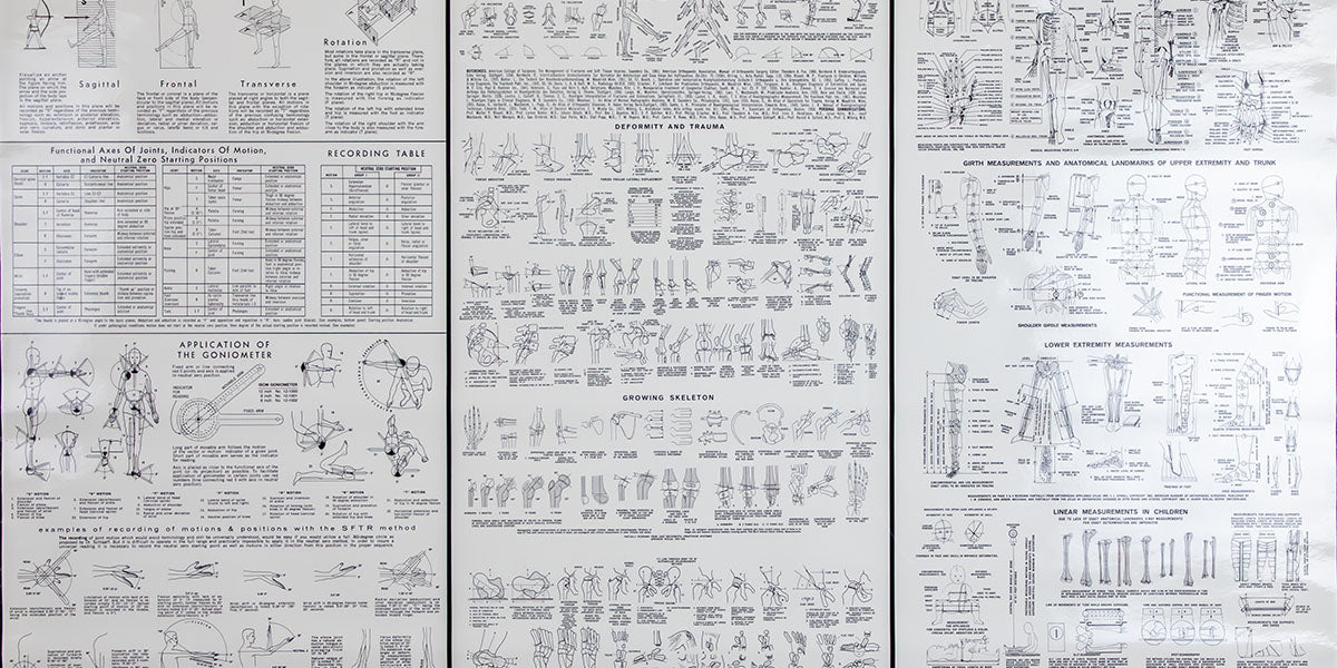 Baseline ISOM Measurement Chart — Rehab Ninja